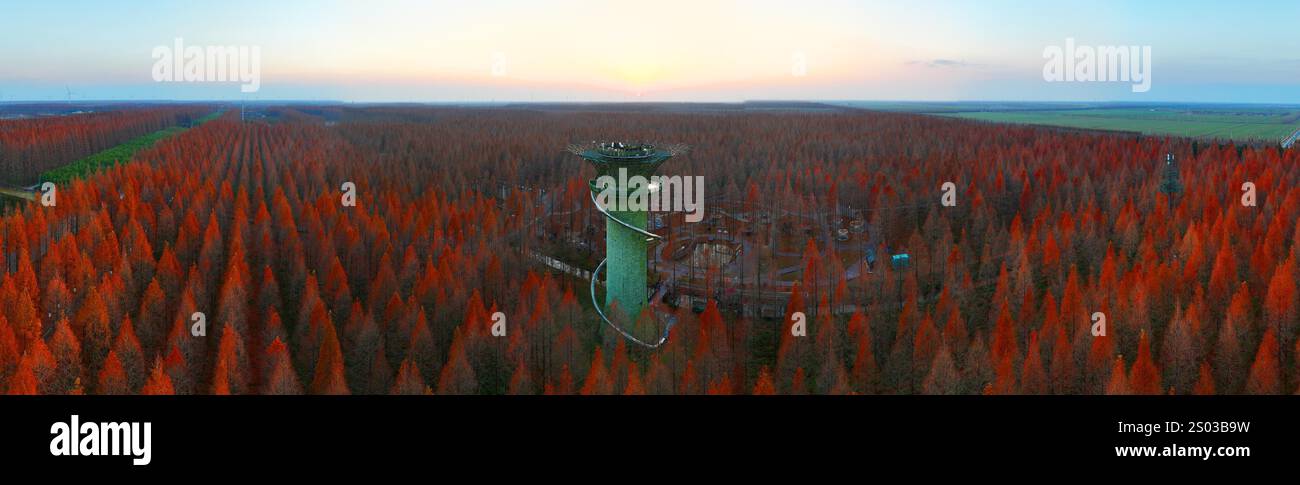 Aerial photo shows the winter scenery of Huanghai Forest Park in ...