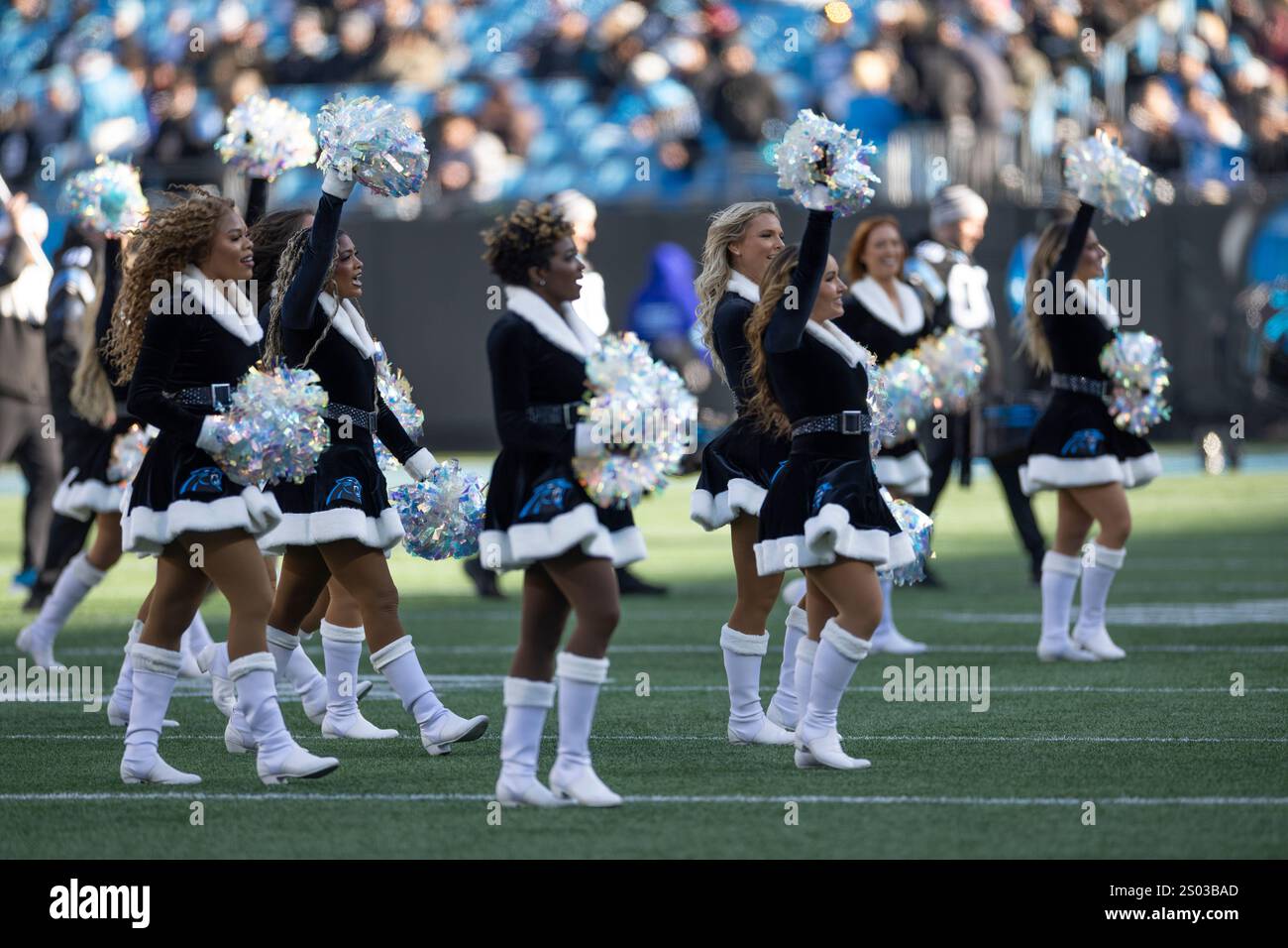 Charlotte, NC, USA: The Carolina Panthers cheerleaders entertain the ...