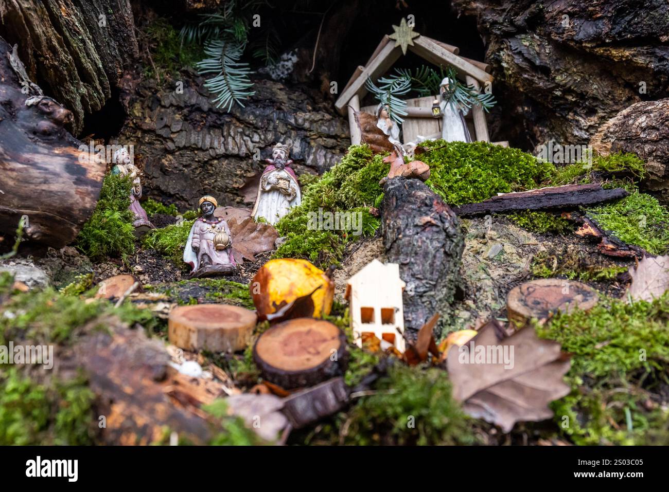 Biebertal, Germany. 23rd Dec, 2024. For the 17th time, over 60 ...