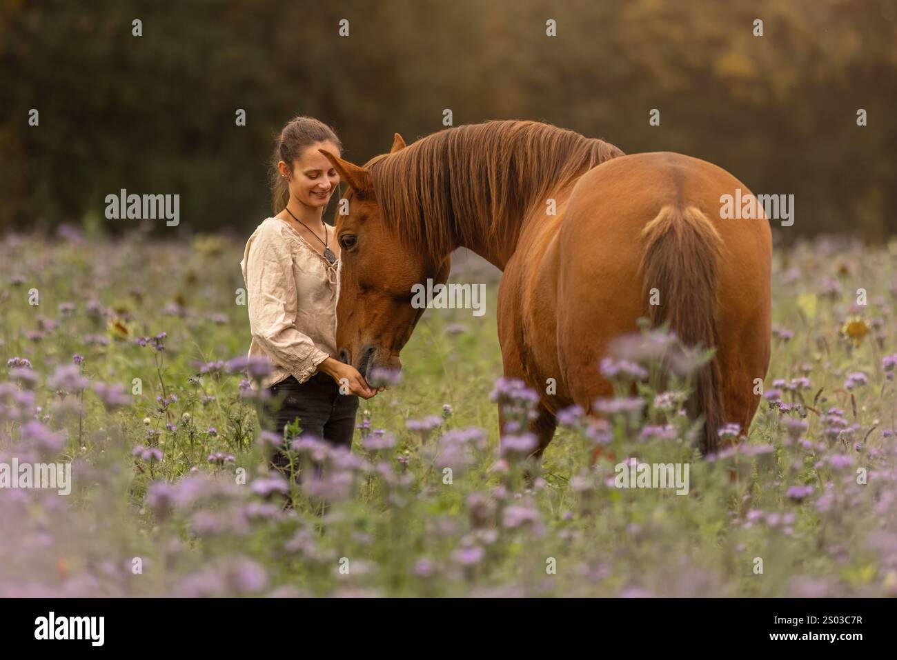 A woman and her Lusitano horse cuddling and interacting on a wildflower ...