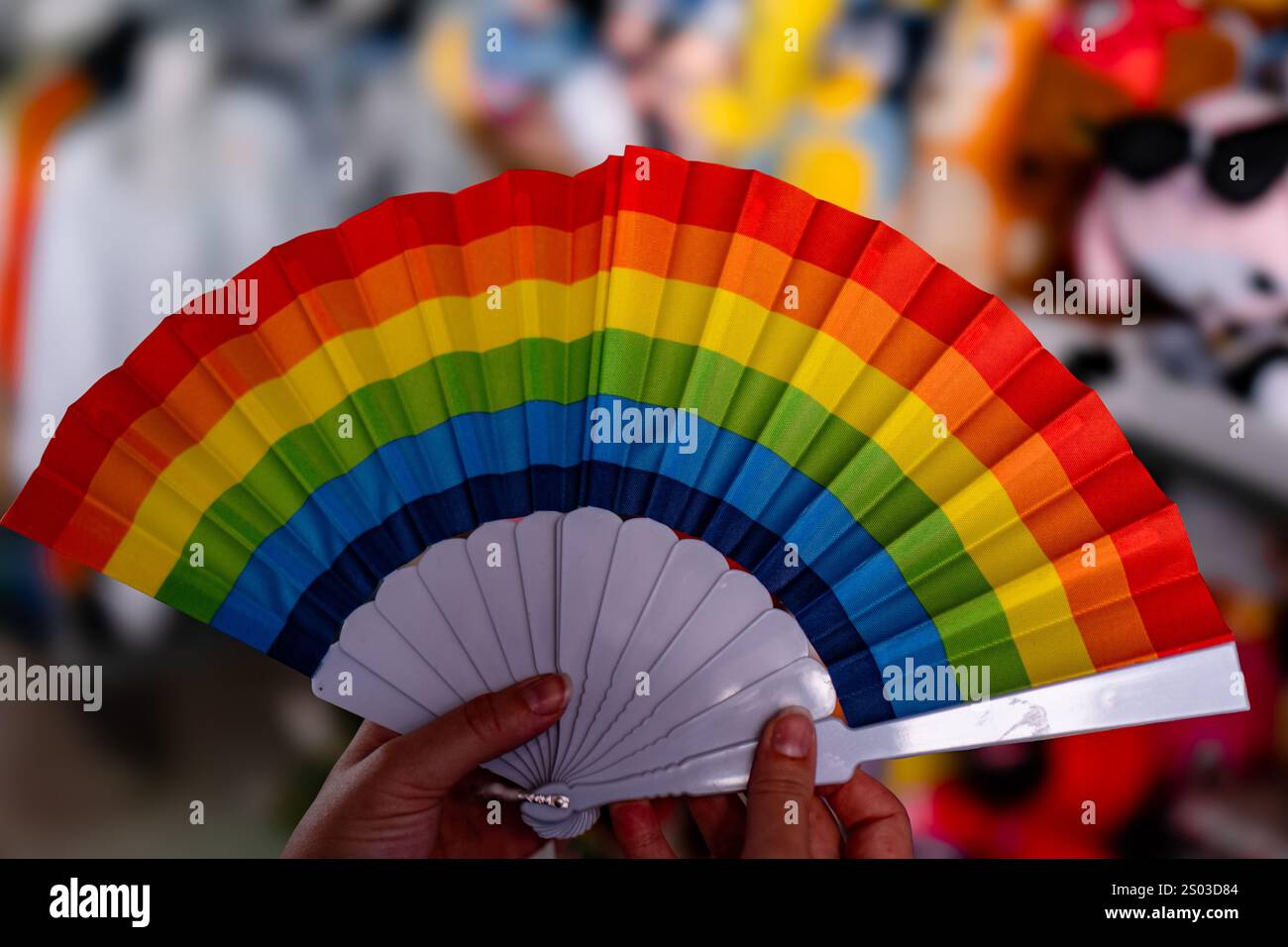 A person is holding a rainbow fan. The fan is colorful and has a ...