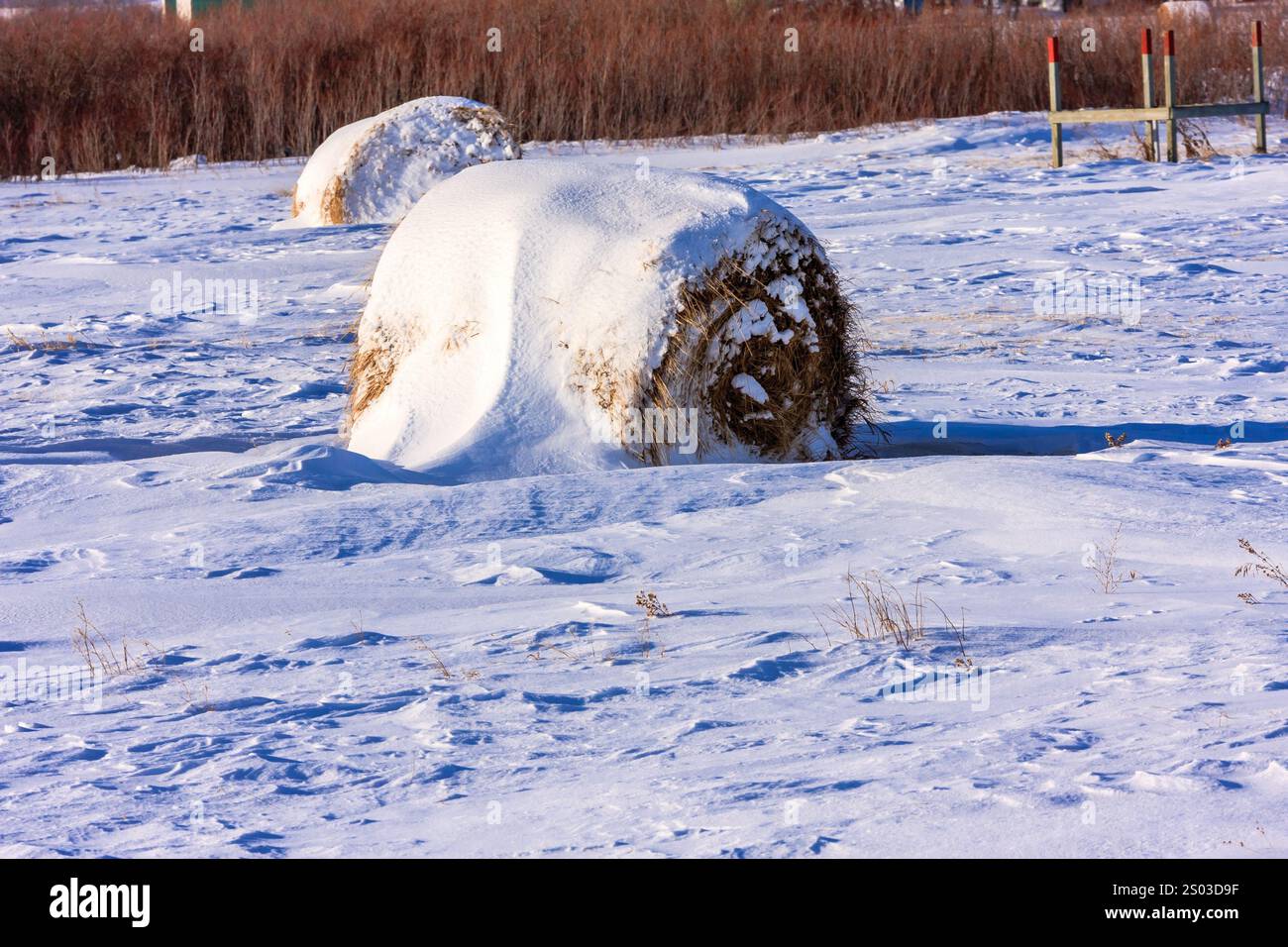 A hay ball is covered in snow. The snow is white and the hay ball is ...