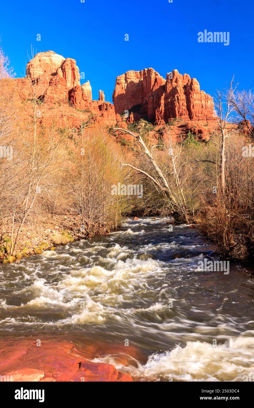 A river with a rocky canyon in the background. The water is flowing ...
