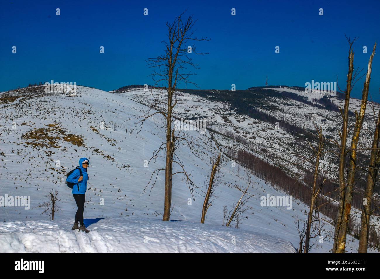 Mountain route leading to the top of Skrzyczne mountain, winter uphill ...