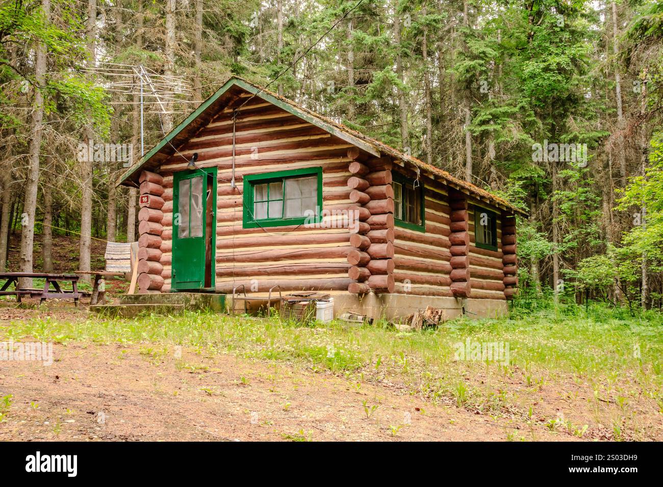 A log cabin in the woods with a green door and windows. The cabin is ...