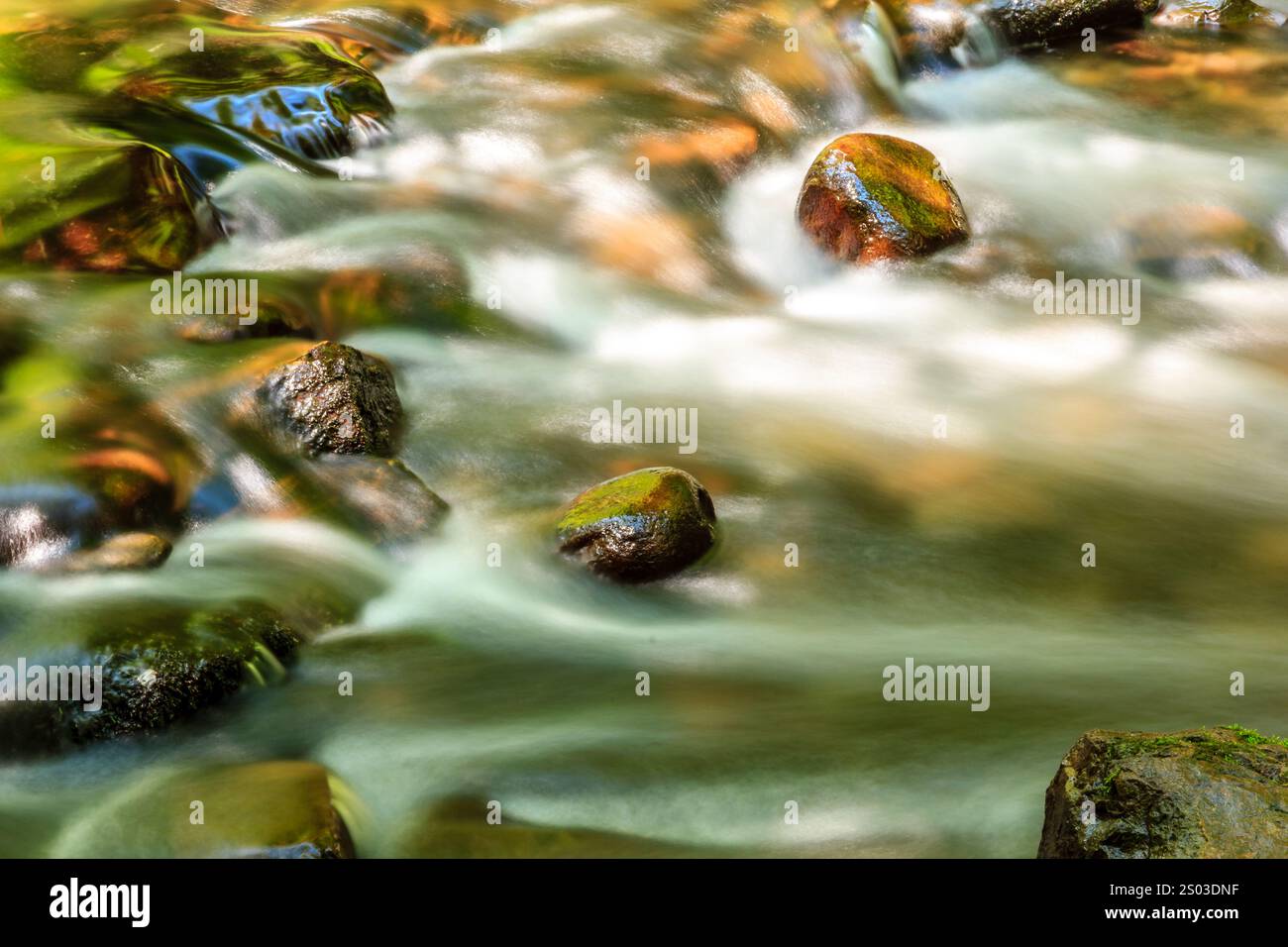 A stream of water with rocks in it. The water is clear and the rocks ...