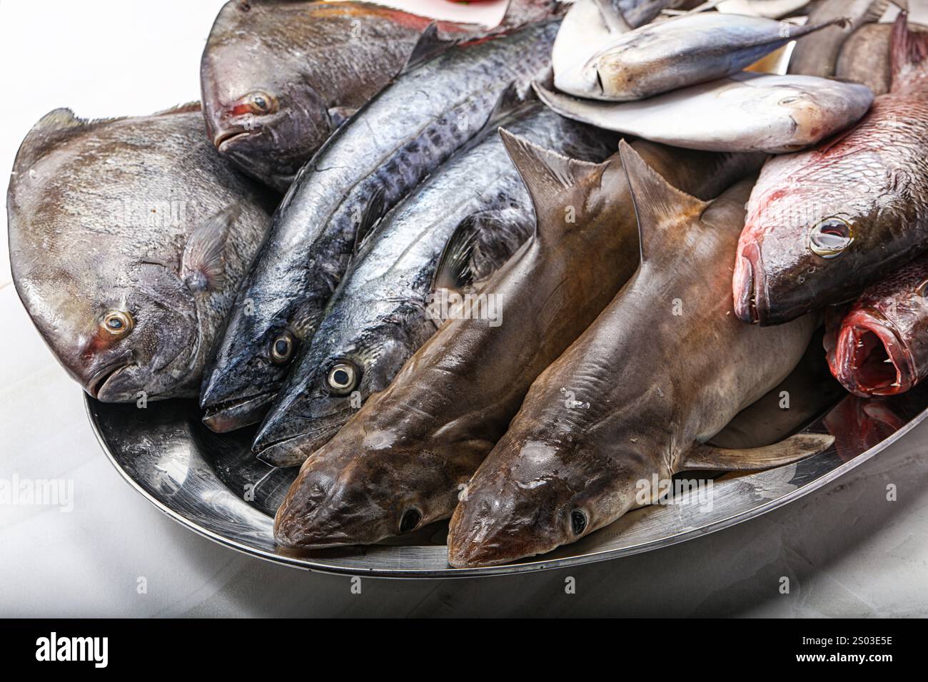 Kingfish tuna hi-res stock photography and images - Alamy
