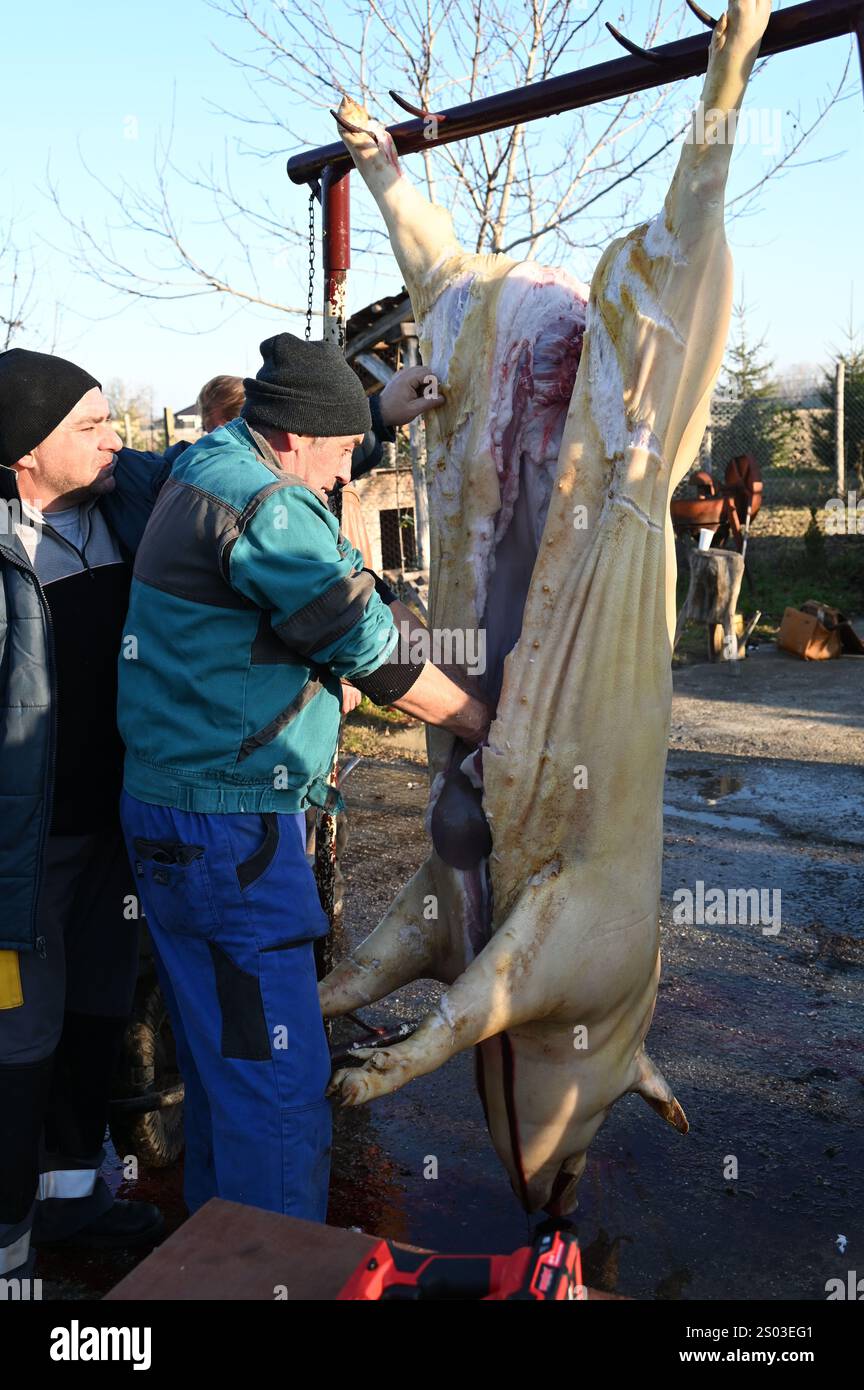 Ohrady, Dunajská Streda, Slovakia - November 30 2024: traditional ...