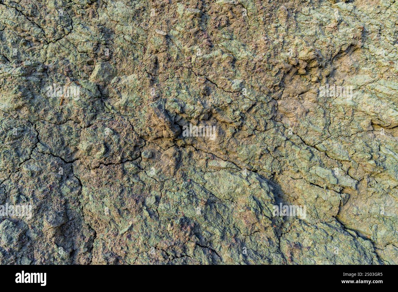 A rocky surface with a lot of texture. The surface is rough and uneven ...