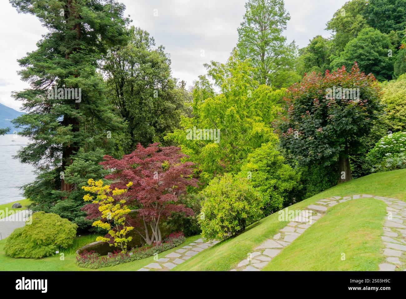 A calm and serene garden scene showcases vibrant trees along a charming ...