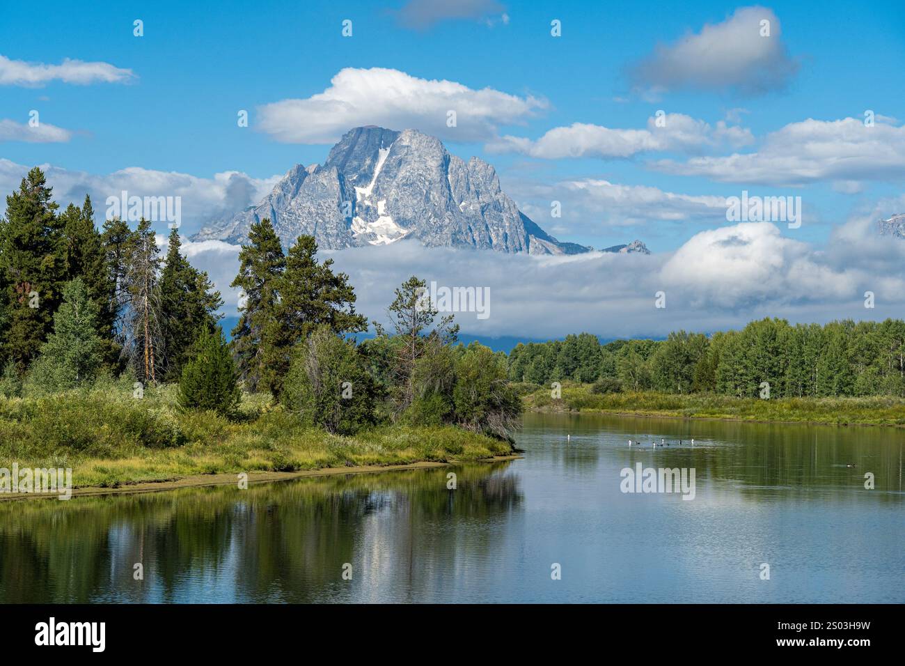 The Snake River and the Mount Moran in the background in the Oxbow Bend ...