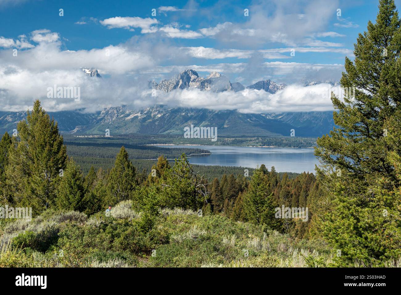 Jackson Lake and Teton Range seen from the summit of Signal Mountain in ...