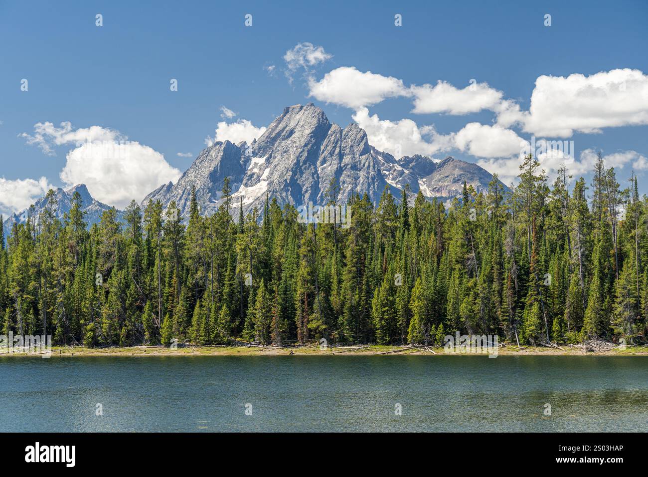 Mount Moran reflecting over the Jackson Lake along the Lakeshore Trail ...