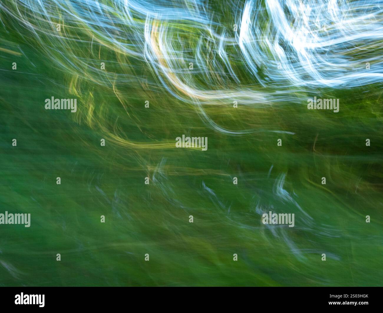 An abstract painting of nature. Created by the Amazon, the light and ...