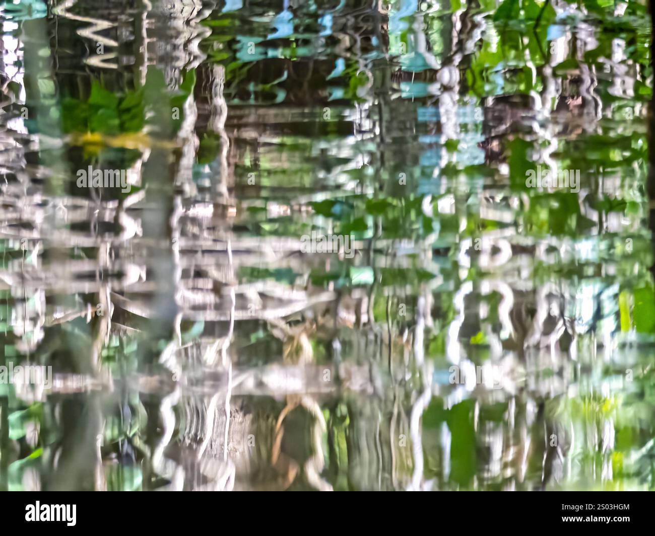 An abstract painting of nature. Created by the Amazon, the light and ...