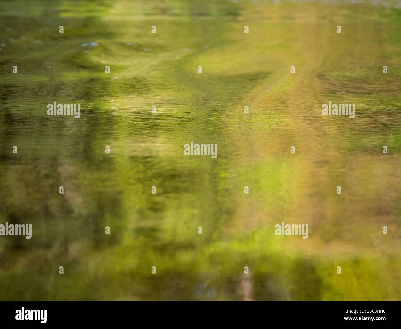 An abstract painting of nature. Created by the Amazon, the light and ...