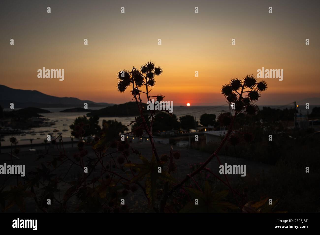 Scenery of Beautiful Sunset with Plant in Albanian Riviera. Summer ...