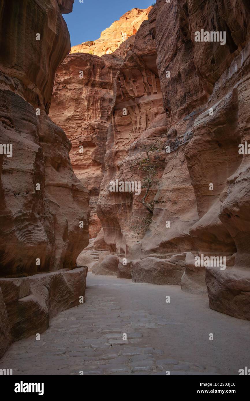 Vertical Landscape of Siq Rock Formation in Petra. Sandstone Rocky ...