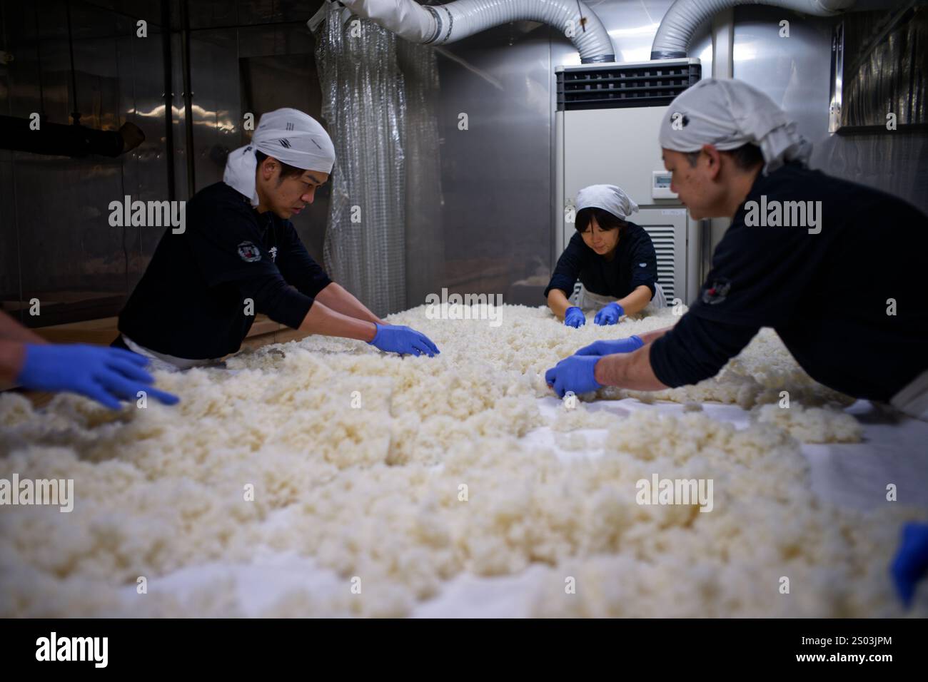 (241224) -- FUKUI, Dec. 24, 2024 (Xinhua) -- Shinpei Tokoyama (L) and ...
