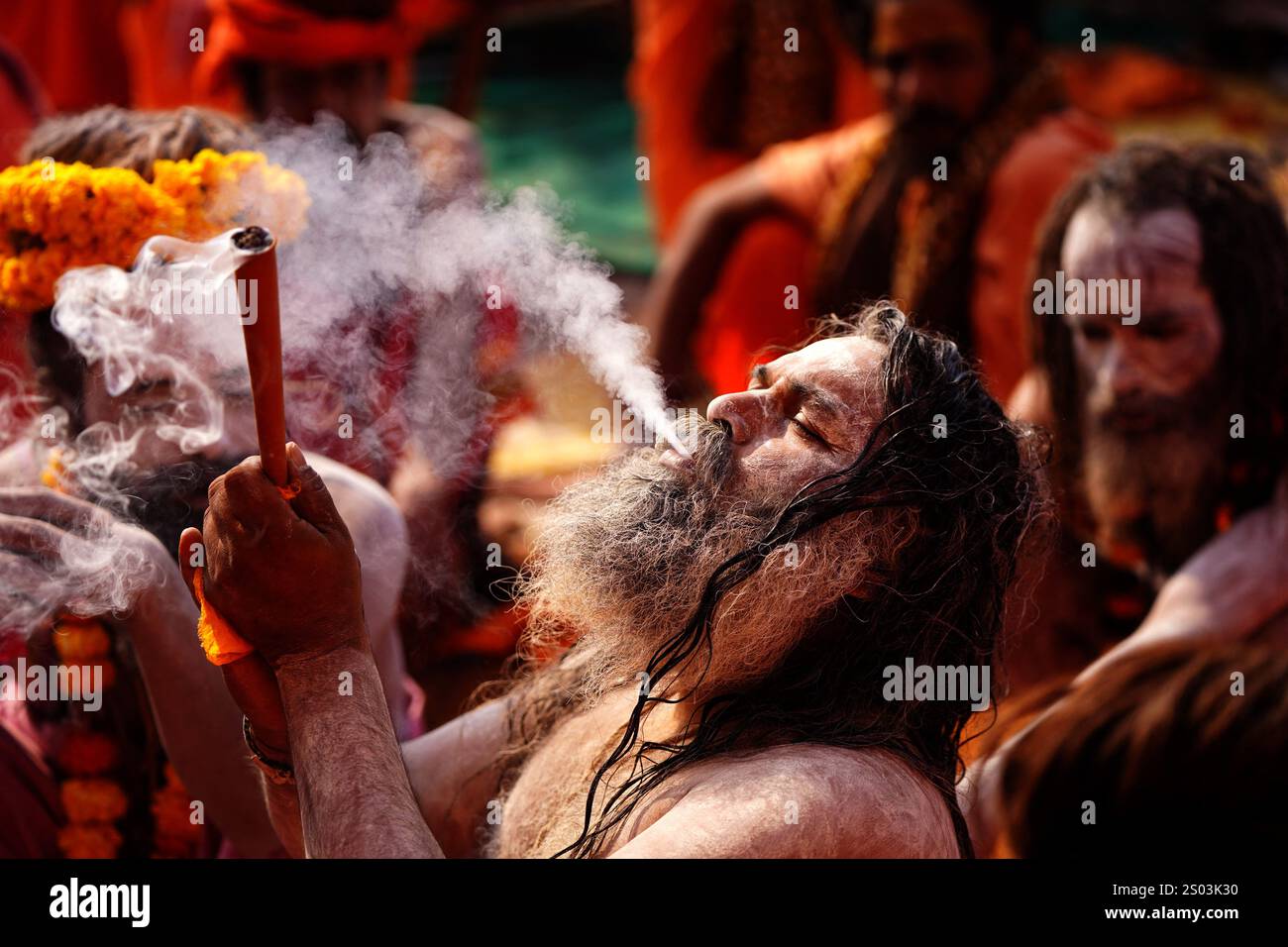 India. 22nd Dec, 2024. A Sadhu or Hindu holy man smokes marijuana using ...