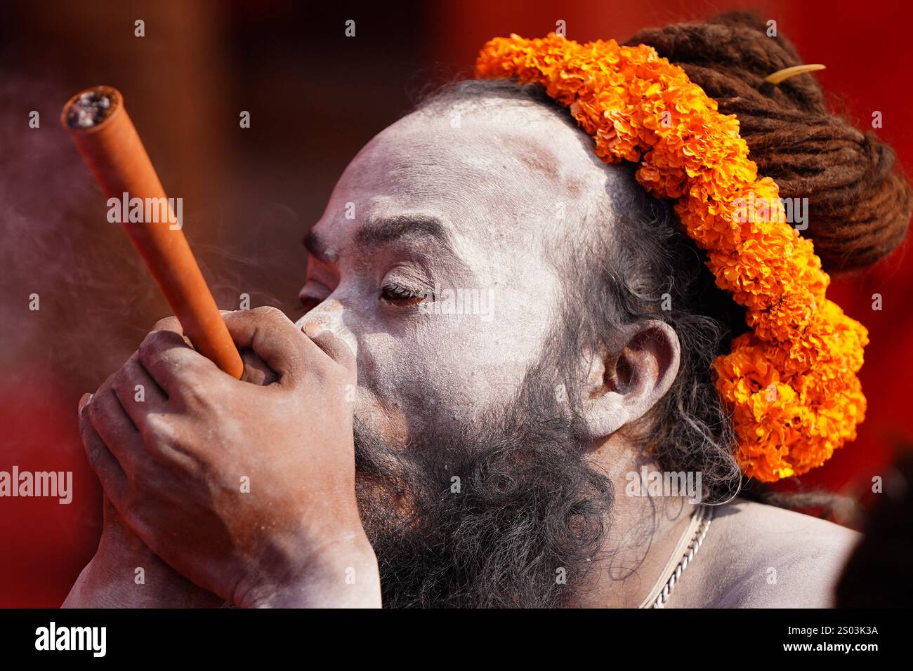 India. 22nd Dec, 2024. A Sadhu or Hindu holy man smokes marijuana using ...