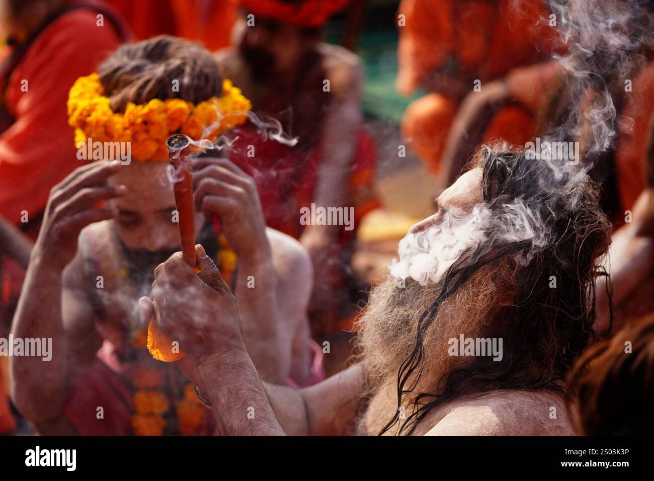 India. 22nd Dec, 2024. A Sadhu or Hindu holy man smokes marijuana using ...