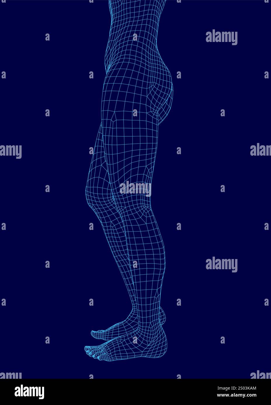 Intricate leg structure hi-res stock photography and images - Alamy