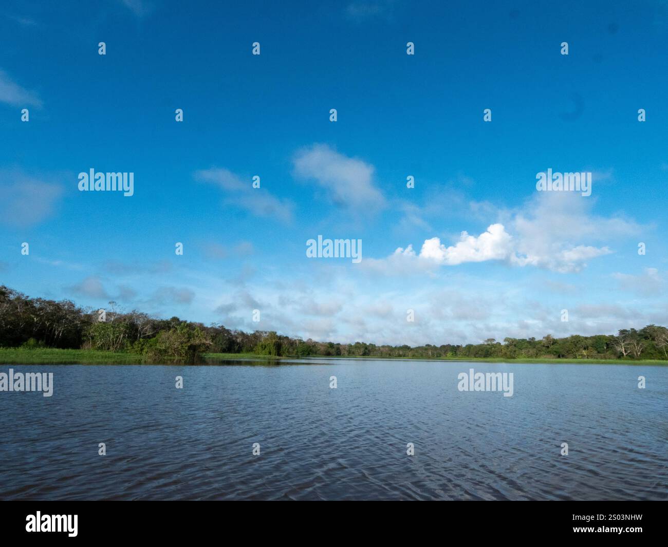 Amazon river landscape. Taken near the Mamiraua National Park Stock ...