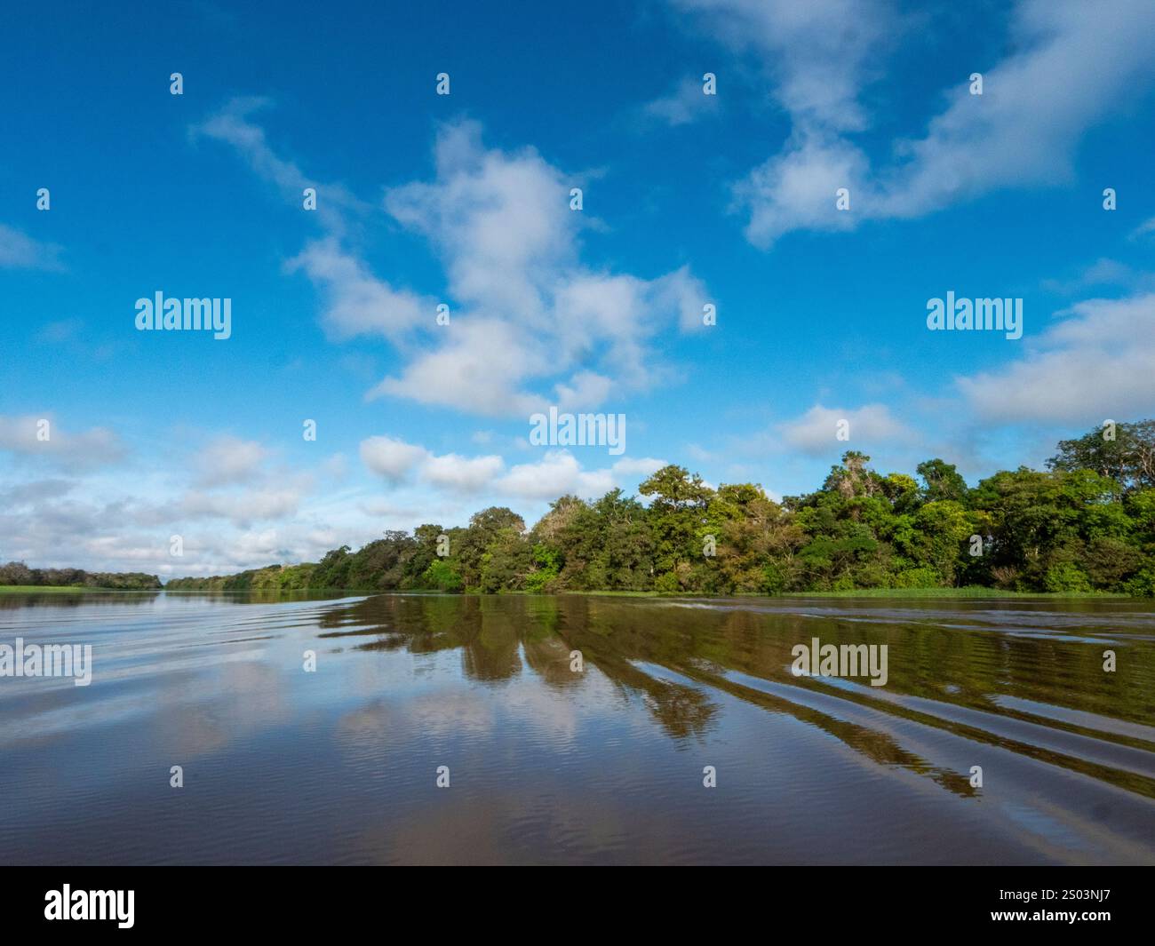 Amazon river landscape. Taken near the Mamiraua National Park Stock ...
