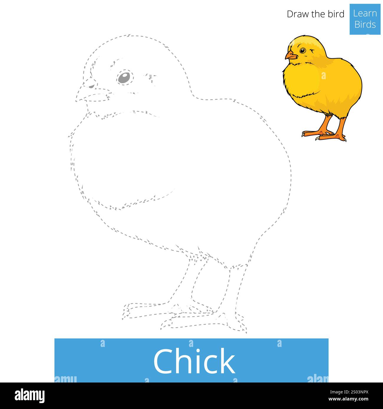 How to draw chick hi-res stock photography and images - Alamy