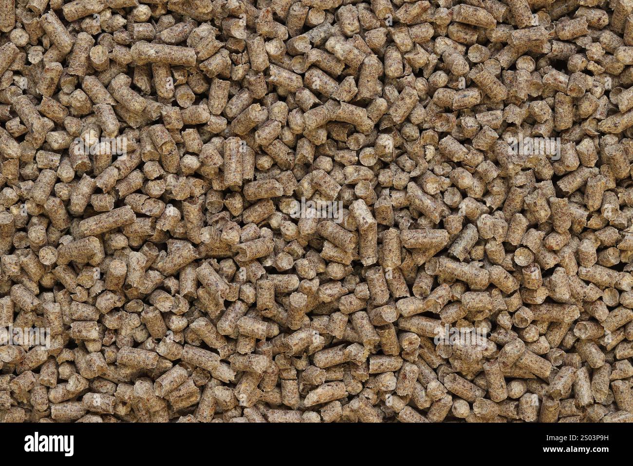 Wood filler for cat toilet, top view. Hygienic filler for pets. Wood ...