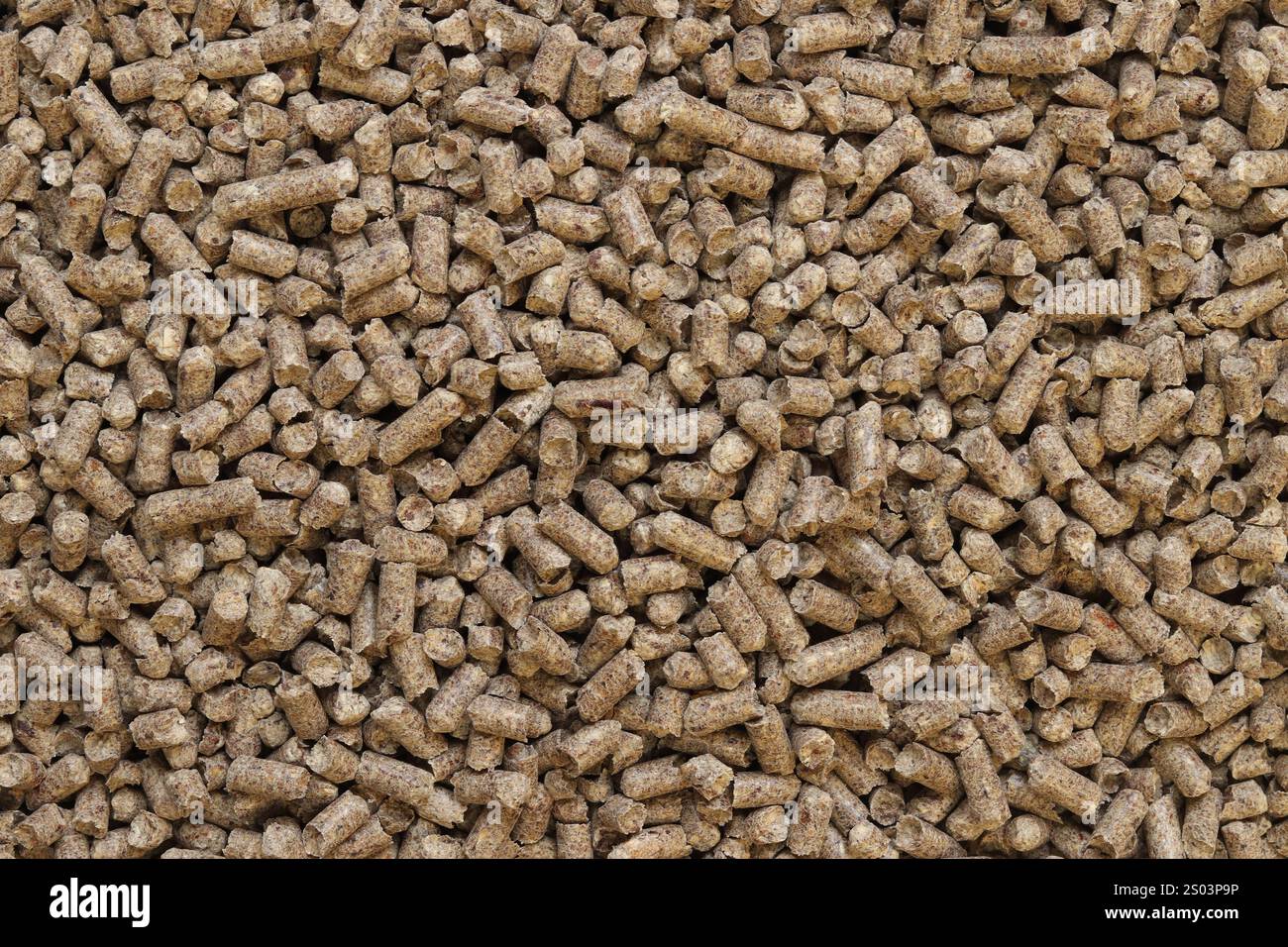 Wood filler for cat toilet, top view. Hygienic filler for pets. Wood ...