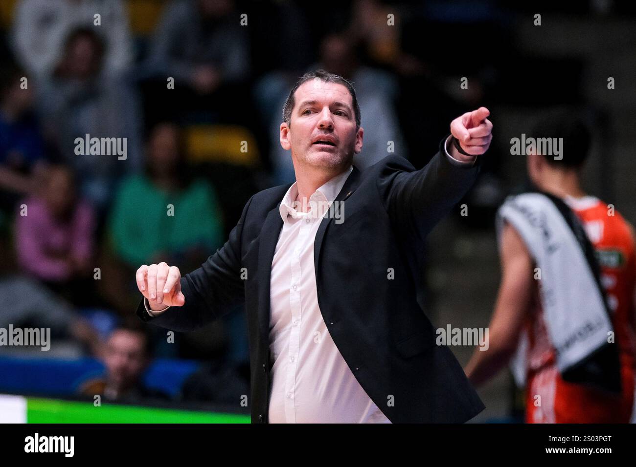 Frankfurt Am Main, Deutschland. 23rd Dec, 2024. Ty Harrelson ...