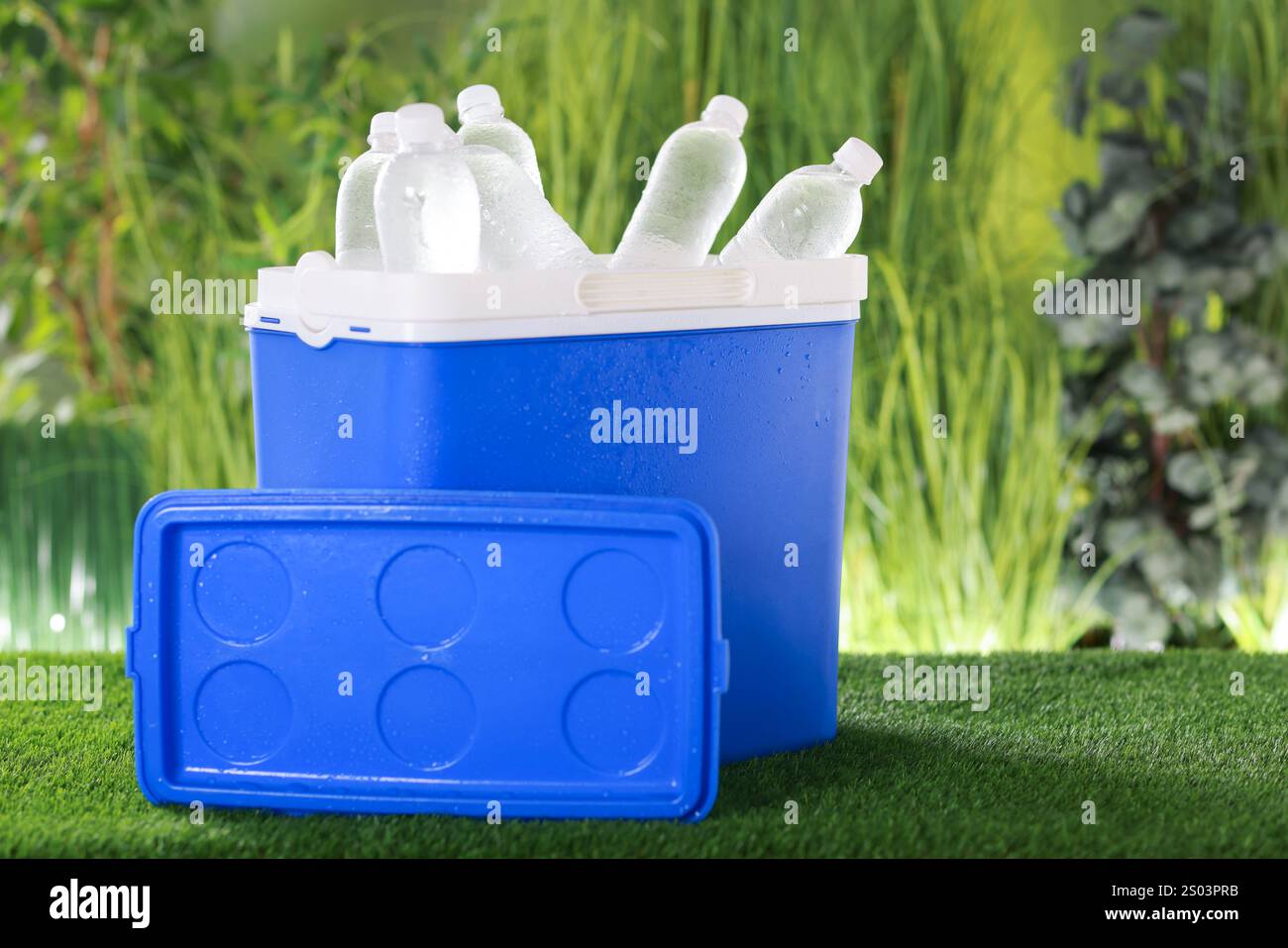 Wet bottles of water in cooler box on artificial grass. Space for text ...