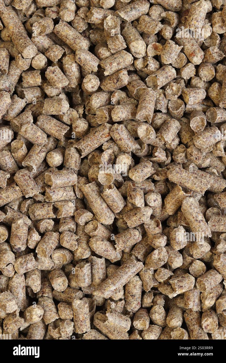 Wood pellet cat litter as background, closeup. Pressed wood, large ...