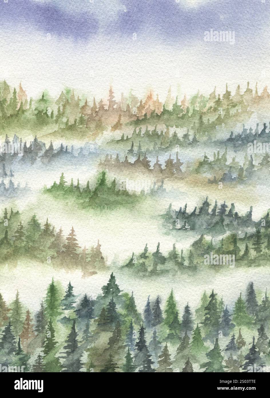 Foggy pine forest landscape, distant perspective, watercolor painting ...