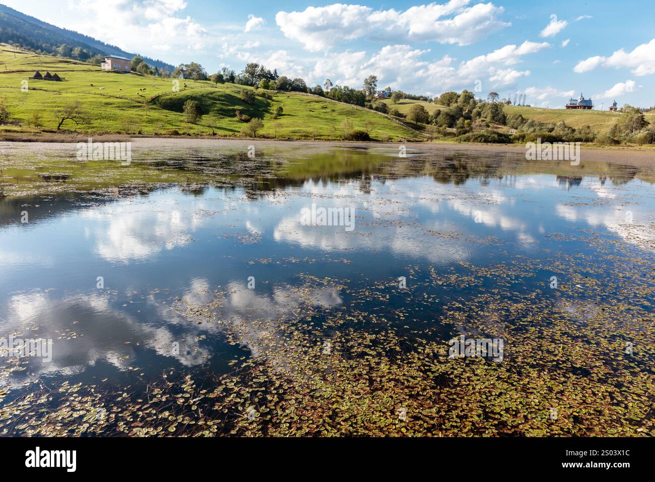 A large body of water with a few trees in the background. The water is ...