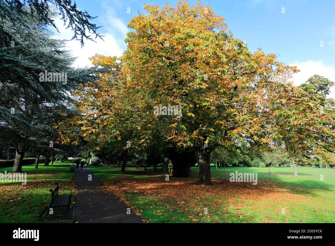 Autumn view over Central Park, Park Crescent, Peterborough City ...