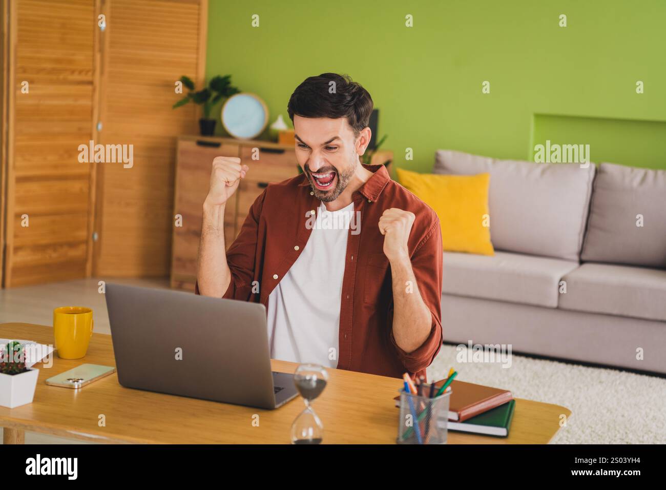 Excited young man cheering at home while using laptop in modern living ...