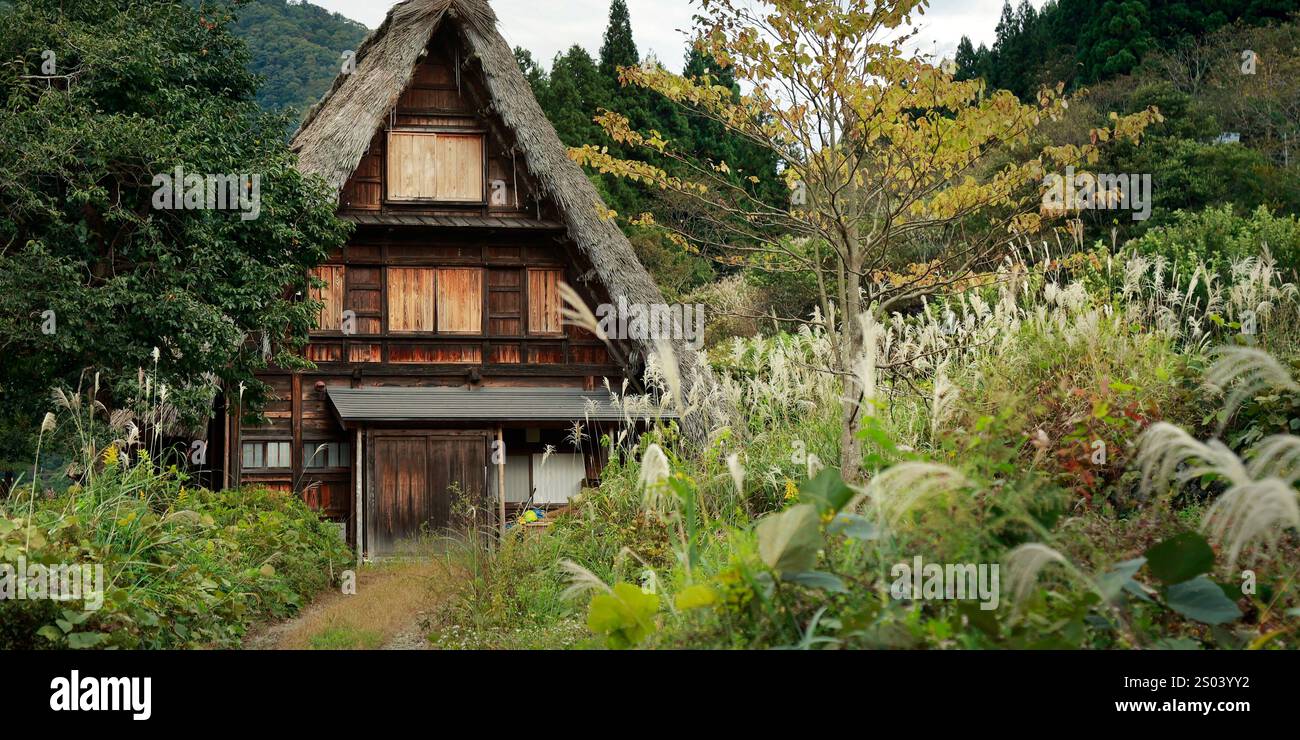 Minka, traditional old wooden japanese houses in Gifu province Stock ...