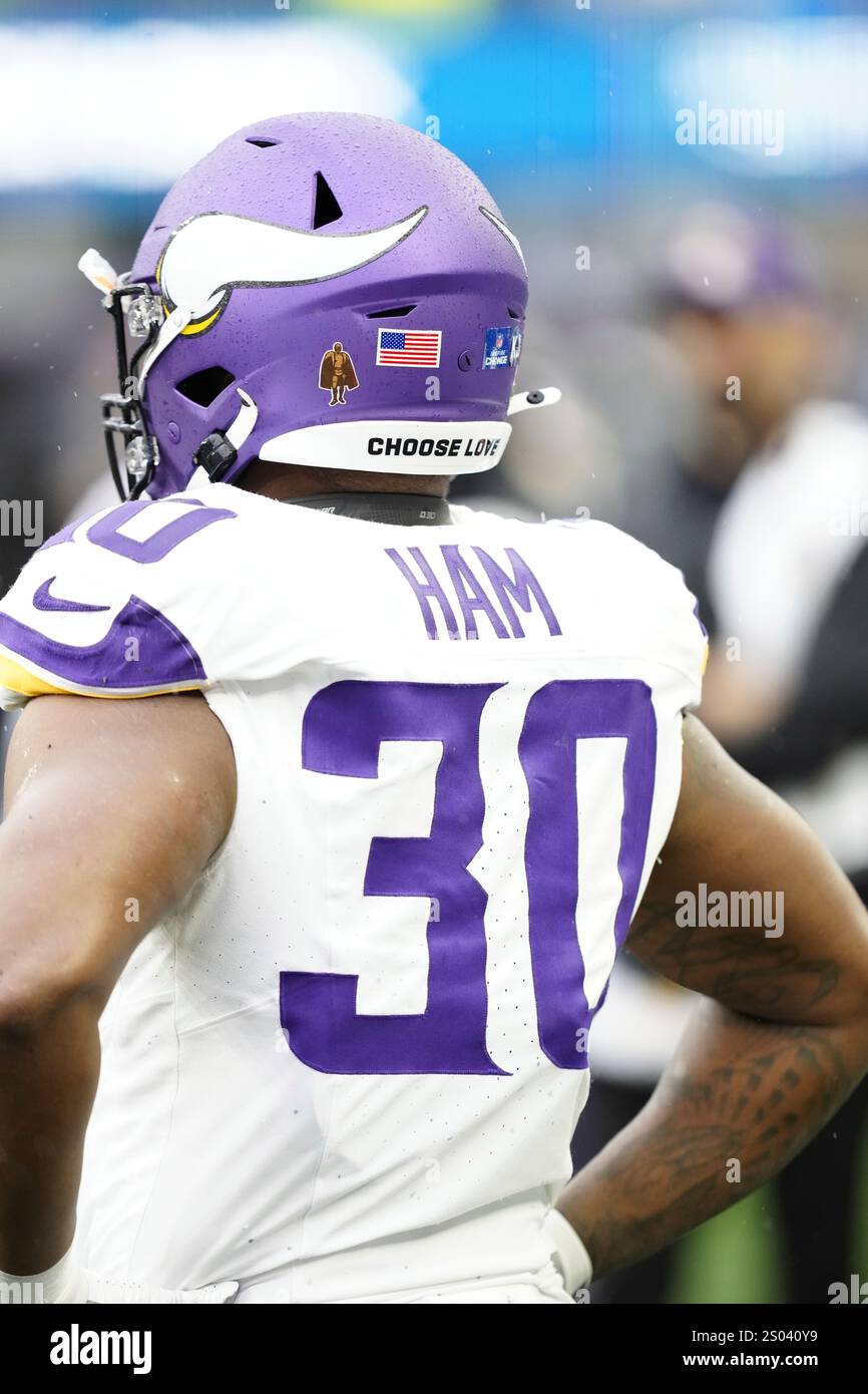 Minnesota Vikings fullback C.J. Ham (30) looks on during an NFL ...