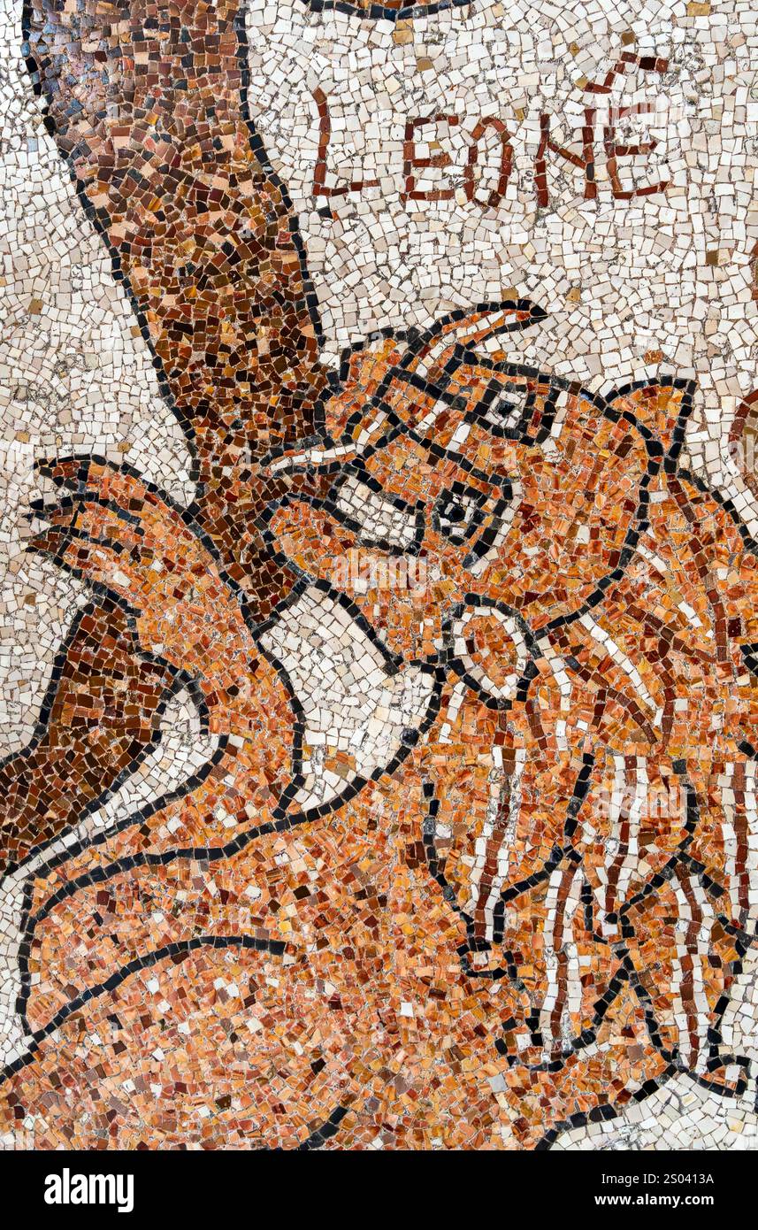 Detail of a Lion on the mosaic floor Cathedral of Otranto, in Otranto ...