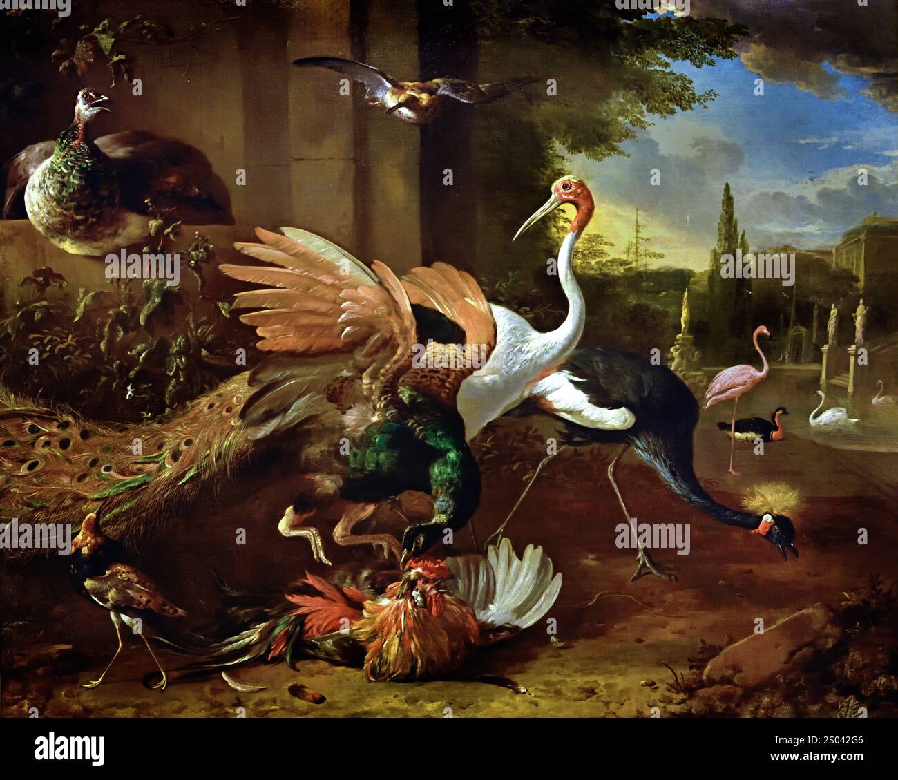 Rooster attacking hi-res stock photography and images - Alamy