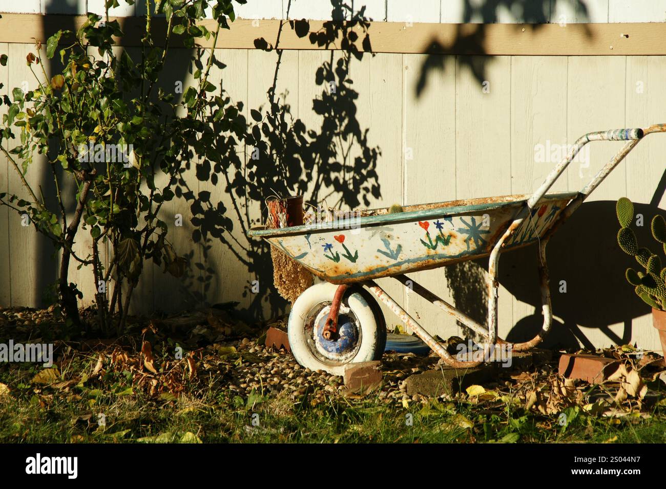 A painted wheel barrow is seen in a flower bed.at sunrise Stock Photo ...