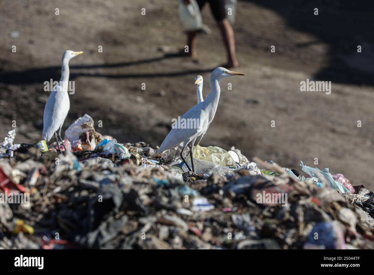 A view of the area where people live in makeshift tents near trash ...