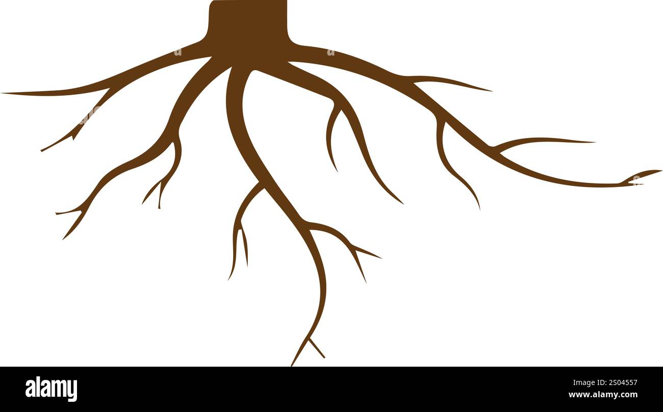 vector colorful tree root drawing Stock Vector Image & Art - Alamy