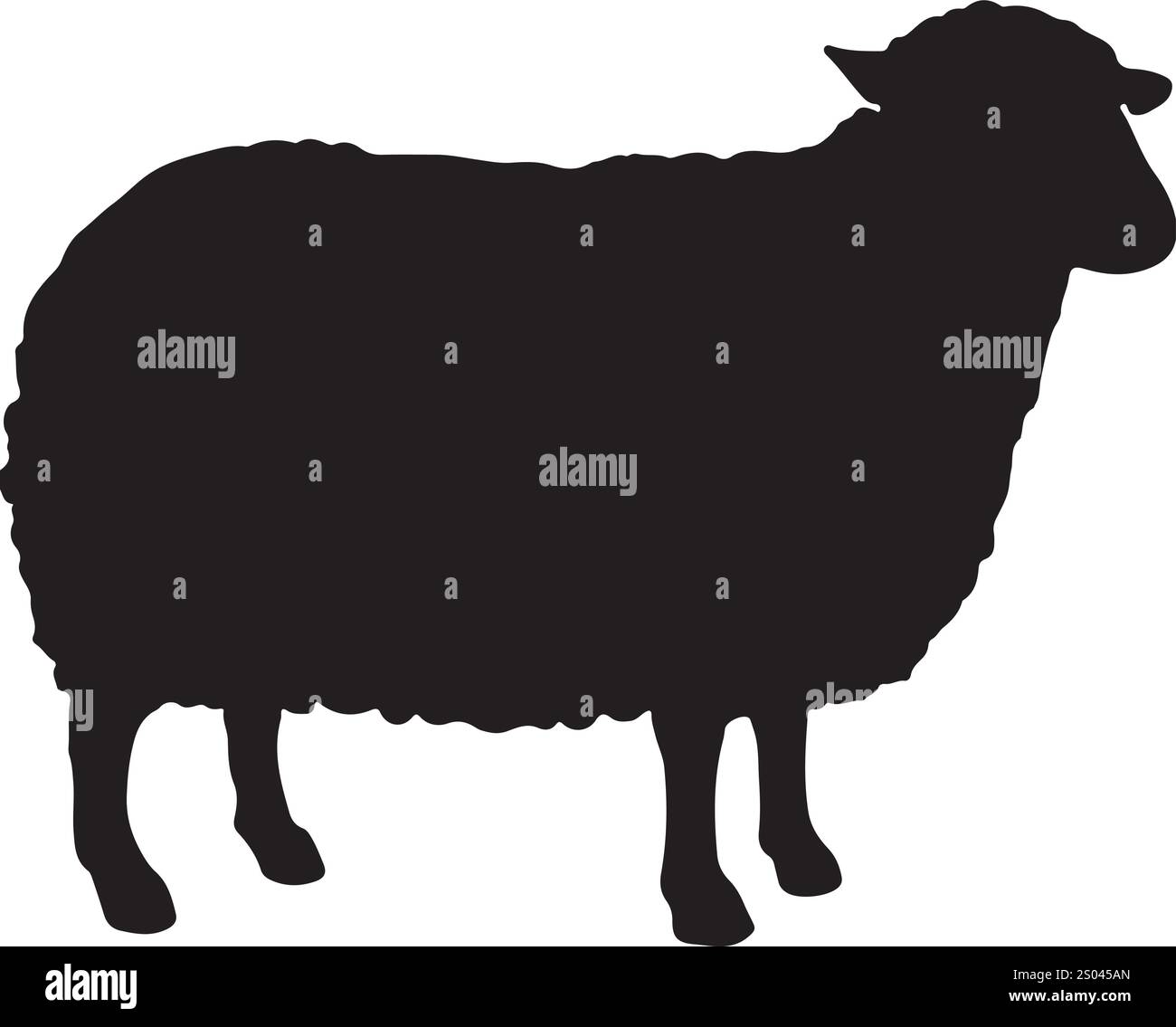 sheep vector drawing designs Stock Vector Image & Art - Alamy