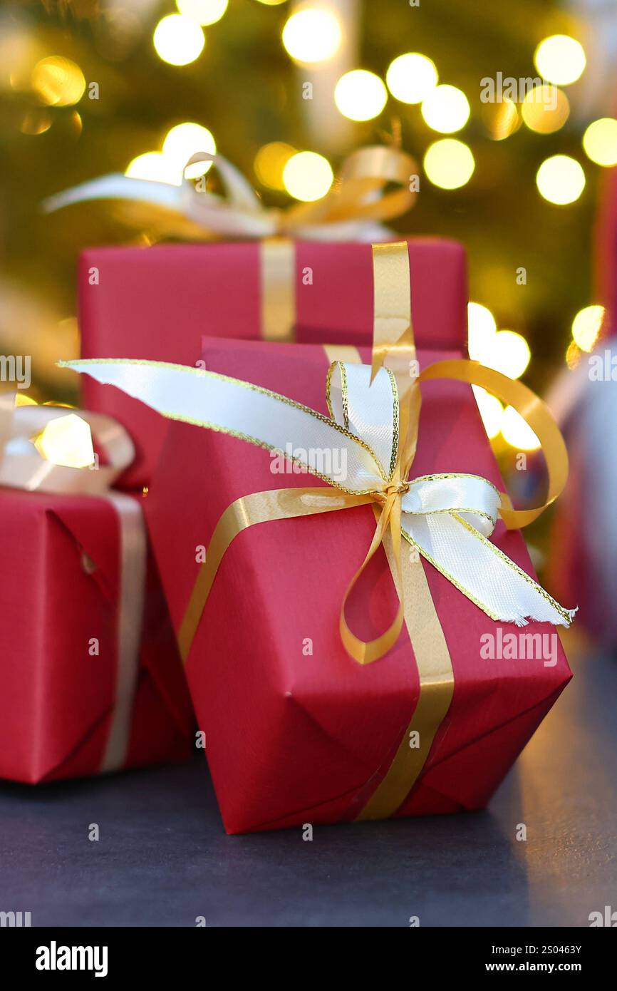 23.12.2024, Bad Harzburg, Verpackte Geschenke liegen unter einem ...