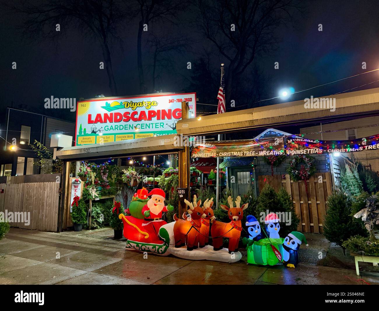 Garden Center selling Christmas trees during the holiday season in the ...