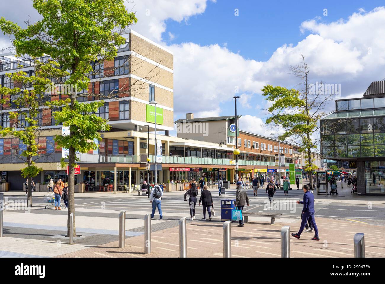 Palmetto lounge hi-res stock photography and images - Alamy